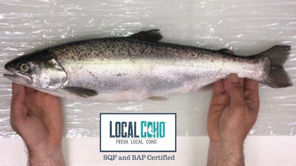 As Seen In | Local Coho