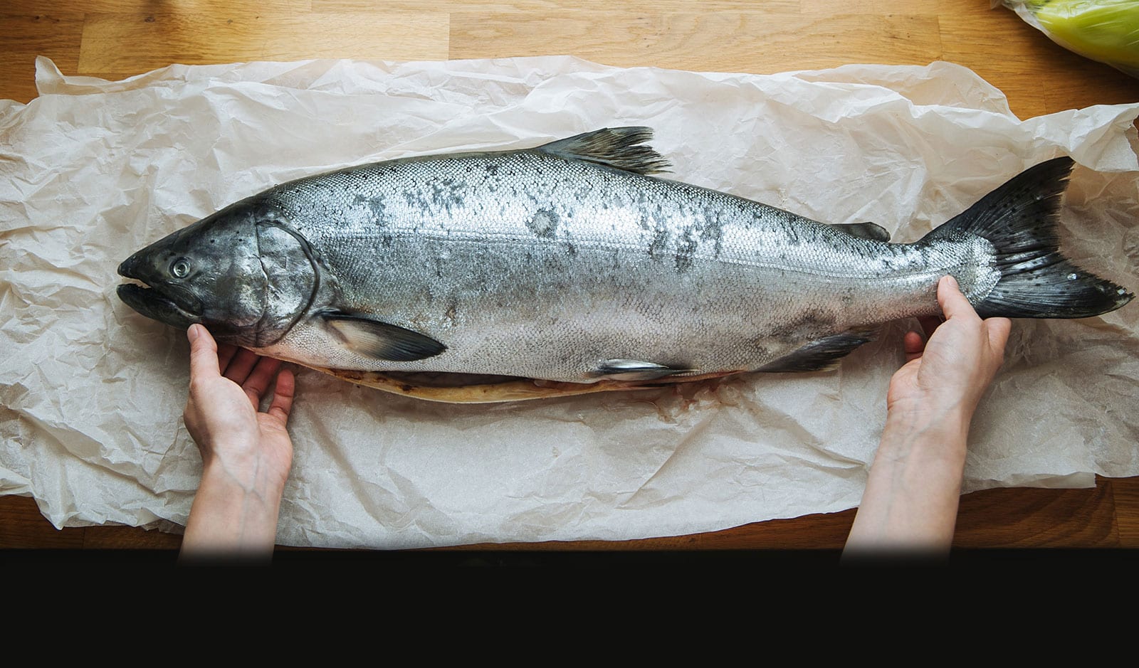 About The Company and Fish | Local Coho